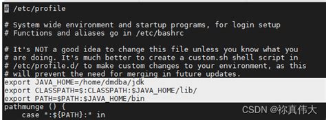 Dm8达梦数据库dem Dmagent监控服务器代理部署（详细步骤） Csdn博客