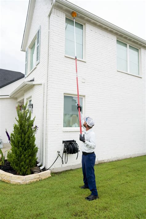 Georgetown Pest Control Services Critter Stop