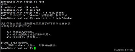 Linux用户身份切换su和 Sudolinux 切换sudo权限 Csdn博客