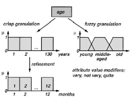Crisp And Fuzzy Granulation Of Age From Zadeh 22 Download
