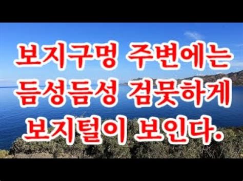 시어머니 보지구멍 주변에는 듬성듬성 검뭇하게 보지털이 보인다 톡사이다 꿀꿀극장 카톡썰 톡톡하늘 네이트판 톡썰 썰톡 실화사ㅋ 시어머니 YouTube