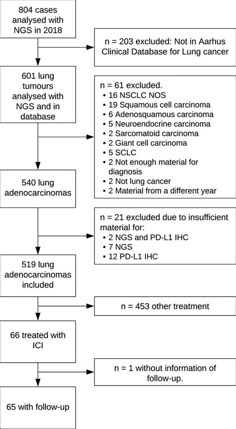 Prognostic Value Of Kras Mutations Tp53 Mutations And Pd L1 Expression Among Lung