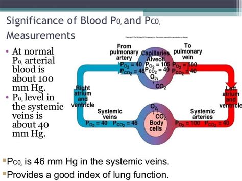 Respiratory Physiology