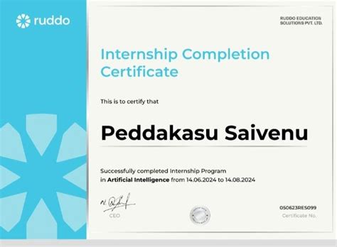 Saivenu Peddakasu On Linkedin Internship Course Gain