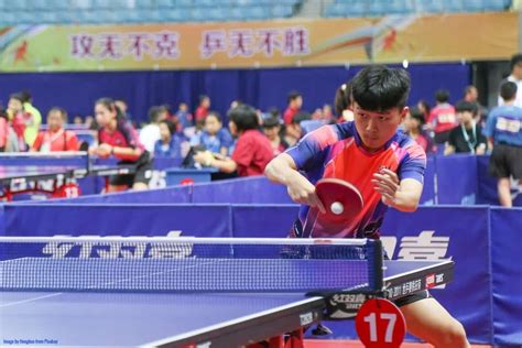 What Is The Official Table Tennis Net Height Table Tennis Arena