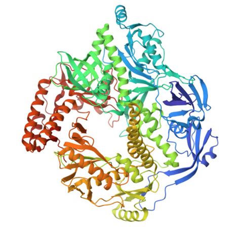 Rcsb Pdb 8wpp Structure Of Monkeypox Virus Polymerase Complex F8 A22