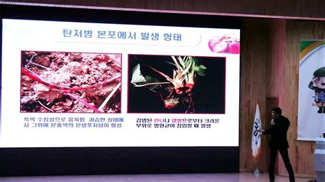 2025년 새해농업인 실용교육고품질 딸기재배기술2 Youtube