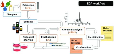 schematic representation of the workflow entailed by the download