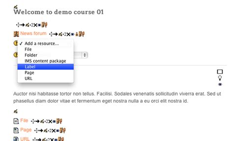 Embed YouTube Videos Into Your Moodle Course ELearning Themes