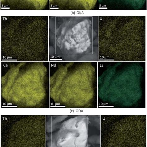 Schematic Of Bcr Sequential Extraction Method Download Scientific Diagram