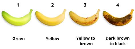 github matteo rizzo explainable banana ripeness classification this