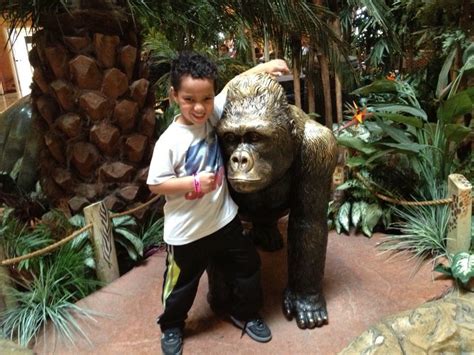 Toni Davis Tonidavis Twitter