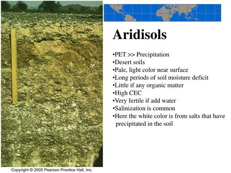 Ppt Chapter 18 The Geography Of Soils Powerpoint Presentation Free