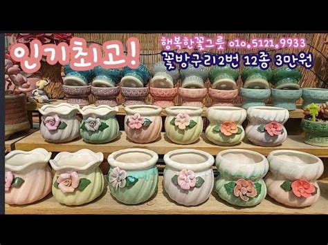 인기 최고의 사랑스러운 미니분 꽃방구리 번 종 화분을 소개합니다 행복한꽃그릇 YouTube
