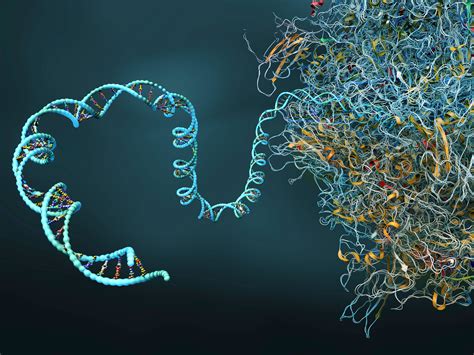 Orthogonal Validation A Multifaceted Approach To Robust Gene Function Data Generation