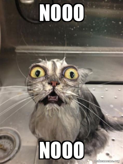 Nooo Nooo Cat Bath Meme Generator