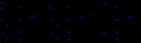 Tmr Structures Used In Rd53b Chip Download Scientific Diagram