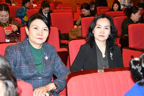 Монголын мэс заслын сувилагчдын анхдугаар зөвлөгөөн болов