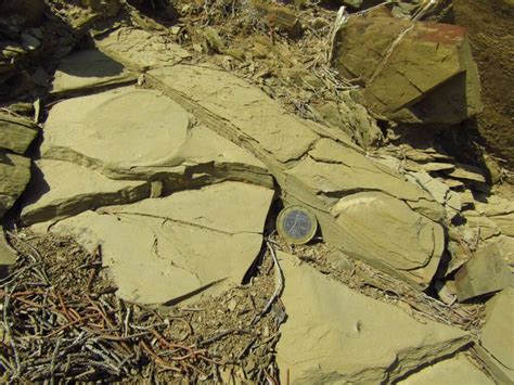Marl Geology Is The Way