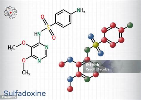 설파 독신 설파 독신 분자 말라리아 치료에 사용되는 오래 지속되는 설폰 아미드입니다 구조 화학식 분자 모델 새장에 종이 한 장 드로잉에 대한 스톡 벡터 아트 및 기타 이미지