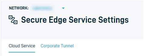 Setting Up The Secure Edge Split Tunnel Connection