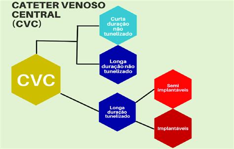 Cateter Venoso Central Cvc Download Scientific Diagram