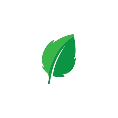 Premium Vector Green Leaf Ecology Nature Element
