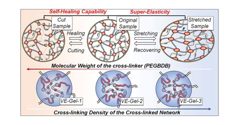 Self Healable Low Hysteresis And Notch Insensitive Conductive Hydrogels Enabled By