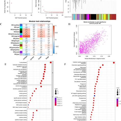 The Weighted Correlation Network Analysis A Determination Of Soft Download Scientific