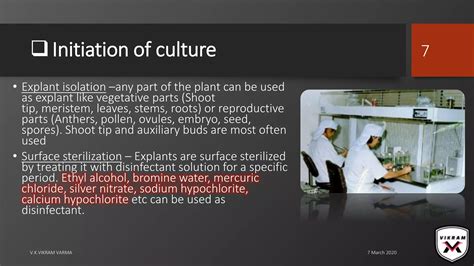 Micropropagation Of Medicinal And Aromatic Plants Clonal Propagation Pptx Micropropagation Of Medicinal And Aromatic Plants Clonal Propagation Pptx