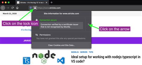 How To Implement SSL Pinning In Ionic Otricks