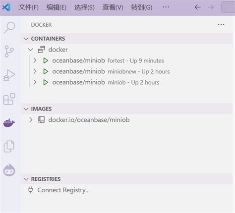 在windows上通过docker配置环境并利用vscode调试代码（手把手版） Miniob