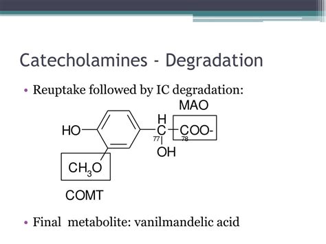 Ppt Neurotransmitters Powerpoint Presentation Free Download Id1322212