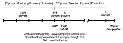 Experimental Time Line Download Scientific Diagram