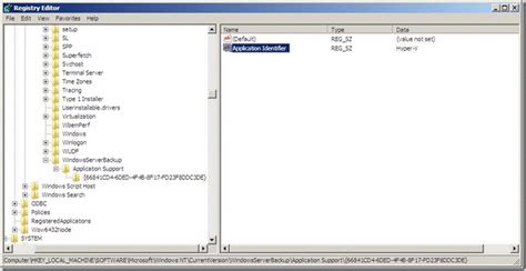 How To Enable Windows Server Backup Support For The Hyper V Vss Writer