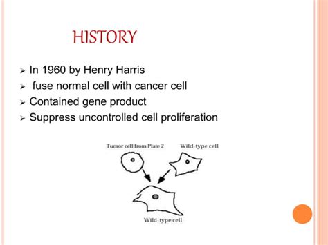 Tumor Suppressor Gene Prb P53 Ppt Genetics Science