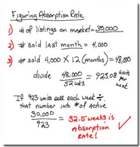 How To Calculate Absorption Rates Denice Rochelle