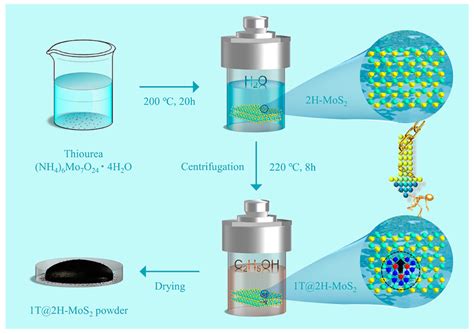 Schematic Illustration Of Hydrothermal Synthesis Of 2h Mos2 And Second Download Scientific