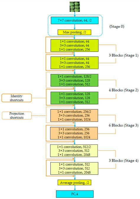 Tree Species Classification In Uav Remote Sensing Images Based On Super
