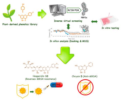 Mrsa Treatment Antibiotics