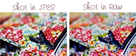 The Stephens Family RAW Vs JPEG