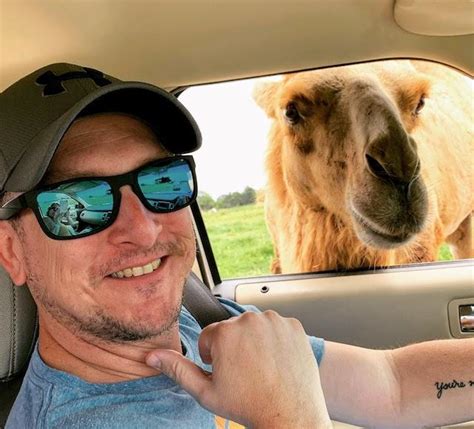 Solved Current Servicenow Capability Chart Servicenow Community