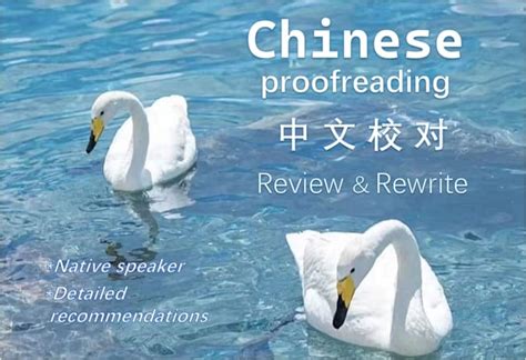 Review And Proofread Chinese Document By Paxtang Fiverr