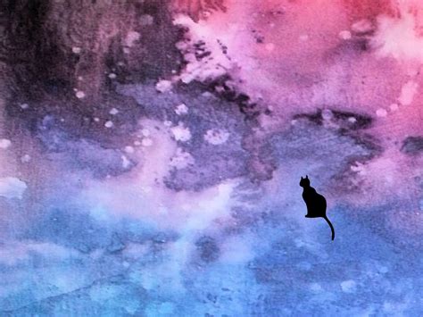 Cat Computer Wallpapers 4k Hd Cat Computer Backgrounds On Wallpaperbat