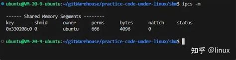 【linux】共享内存揭秘:高效进程通信的终极指南 知乎 【linux】共享内存揭秘:高效进程通信的终极指南 知乎