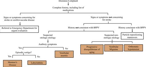 The Efficient Dizziness History And Exam Otolaryngologic Clinics Of