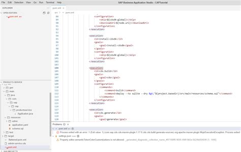 Sap Cap Cant Run Created App From Tutorial Pom Sap Community