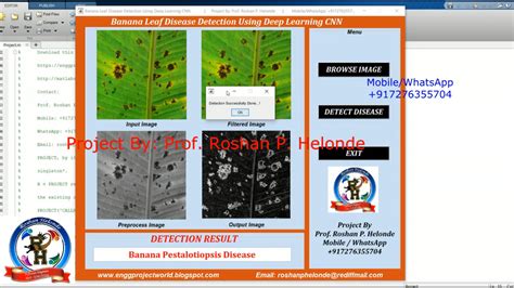 Banana Leaf Disease Detection Using Cnn Banana Plant Disease