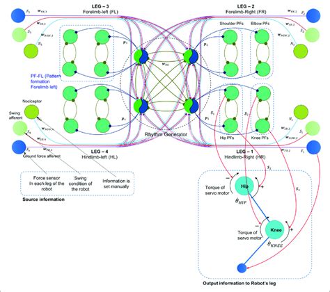 The Single Rhythm Cpg Model With A Two Layered Cpg The Rhythm