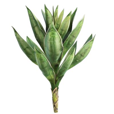 Tree PNGs For Free Download